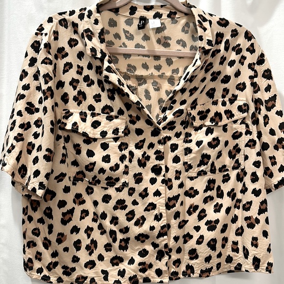 Tops | Cheetah Print Crop Top Bottom Up | Poshmark